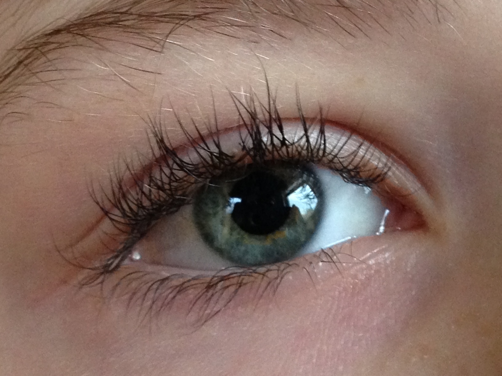 System Auge - Sehsinn - Neurobiologie - Online-Kurse