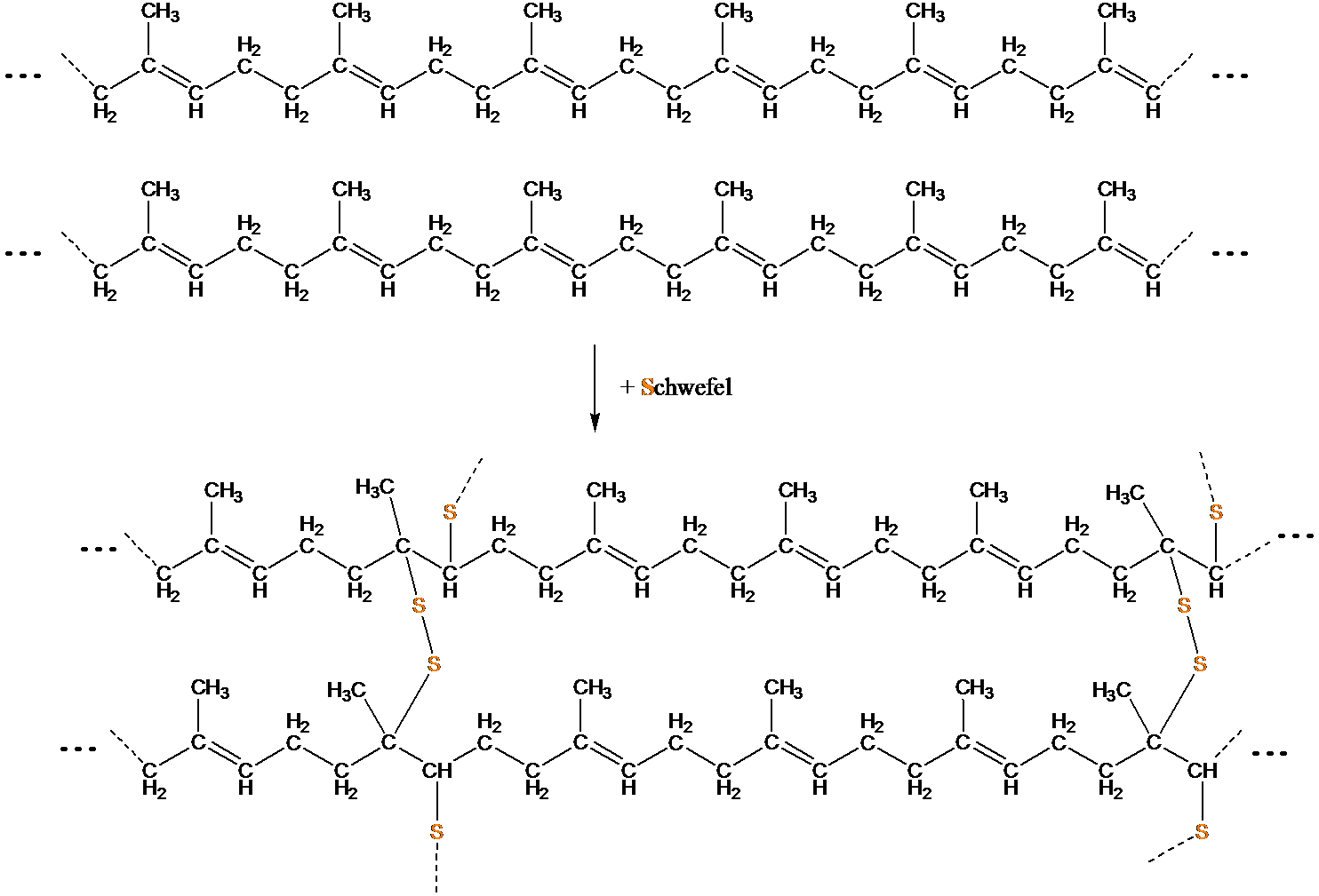 Elastomere - Organische Chemie - Abitur-Vorbereitung