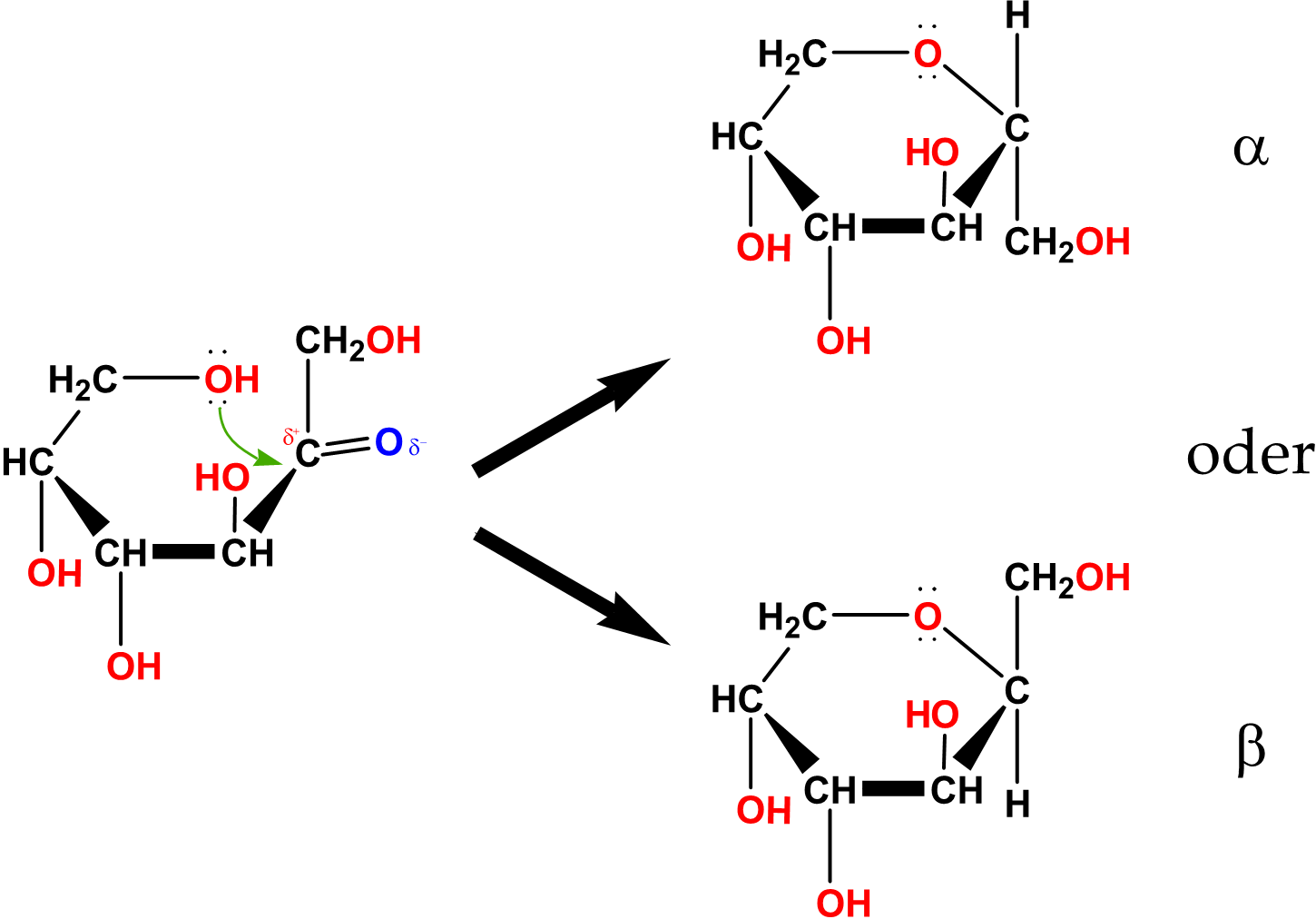 Unterteilung der Kohlenhydrate und ihre Projektionen