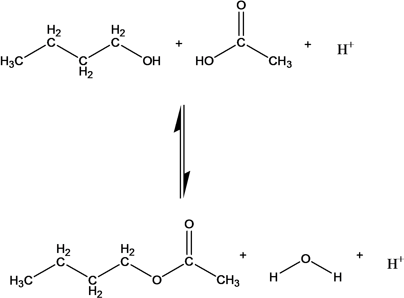Homogene und heterogene Katalyse - Physikalische Chemie