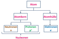 Organisationsebenen des Lebens - Zytologie
