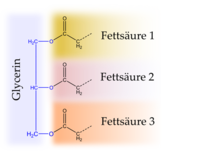 Reaktionen von Fetten - Organische Chemie
